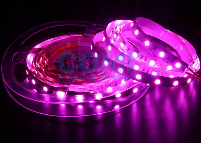 5050 die LED-Neonbeleuchtungs-rosa Farbe 25000K, 12/24 Volt führte ...